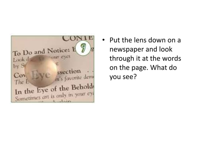 Cow's Eye Dissection Instructions | PPTX | Eye and Vision Conditions ...