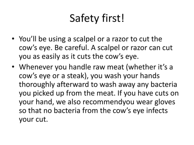 Cow's Eye Dissection Instructions | PPTX | Eye and Vision Conditions ...