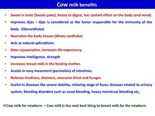 Cow’s milk or buffalo’s milk; Cow Milk Benefits | PPT