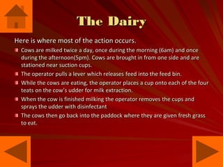 Cow to Carton by Vardhman Jain Cream of the Crop 2009 | PDF
