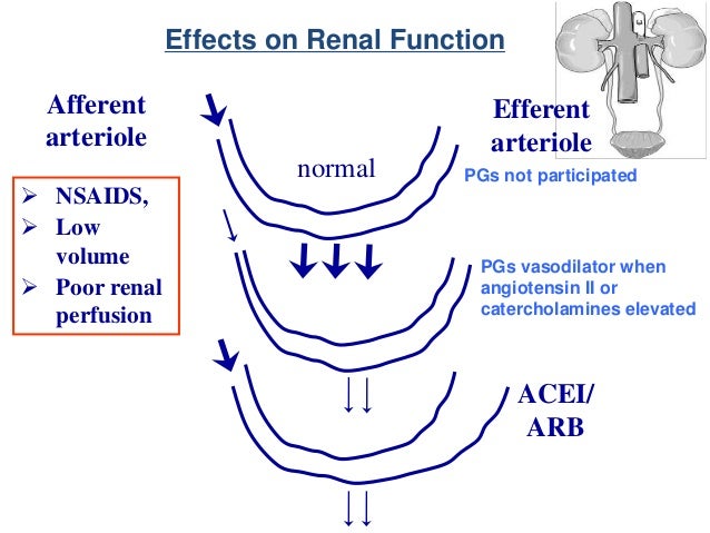 NSAIDS ,Cox enzymes, Physiology,and Pharmacological modulation