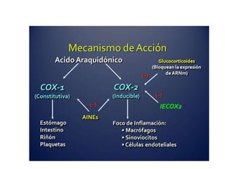 Cox 1 y cox 2 | PPTX