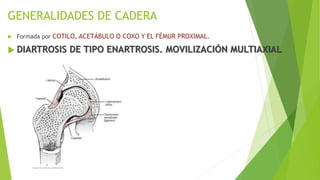 Coxartrosis | PPTX