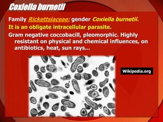 Coxiella burnetii | PPSX