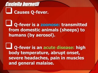 What Causes Q Fever