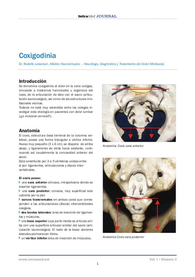 Coxigodinia Causas , Coccigodinia: sintomas, diagnóstico e tratamento ...