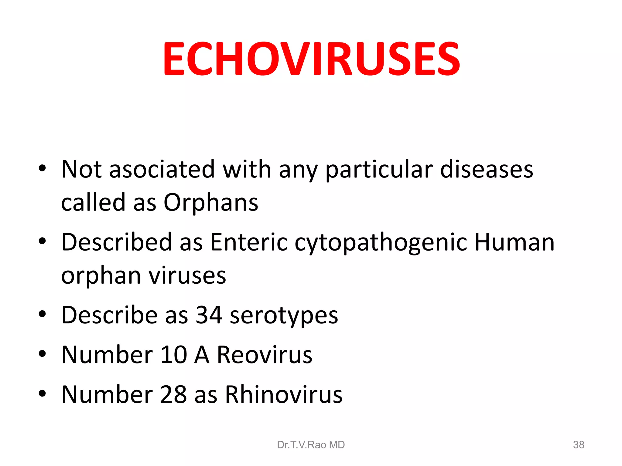 Coxsackievirus (2).ppt