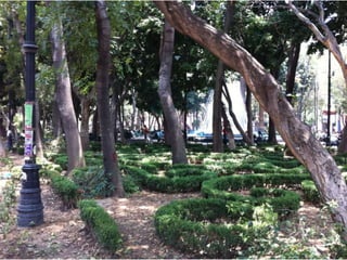 Coyoacan images | PPTX