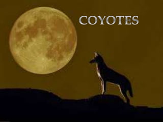 Coyote nicholas | PPTX