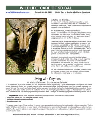 Coyotes | PDF
