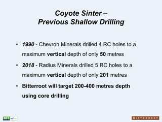 Coyote Sinter Project Presentation | PPT