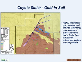 Coyote Sinter Project Presentation | PPT