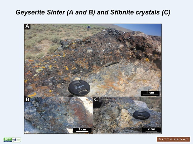 Coyote Sinter Project Presentation | PPT