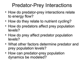 Coyotes & Rabbits-developing models | PPT