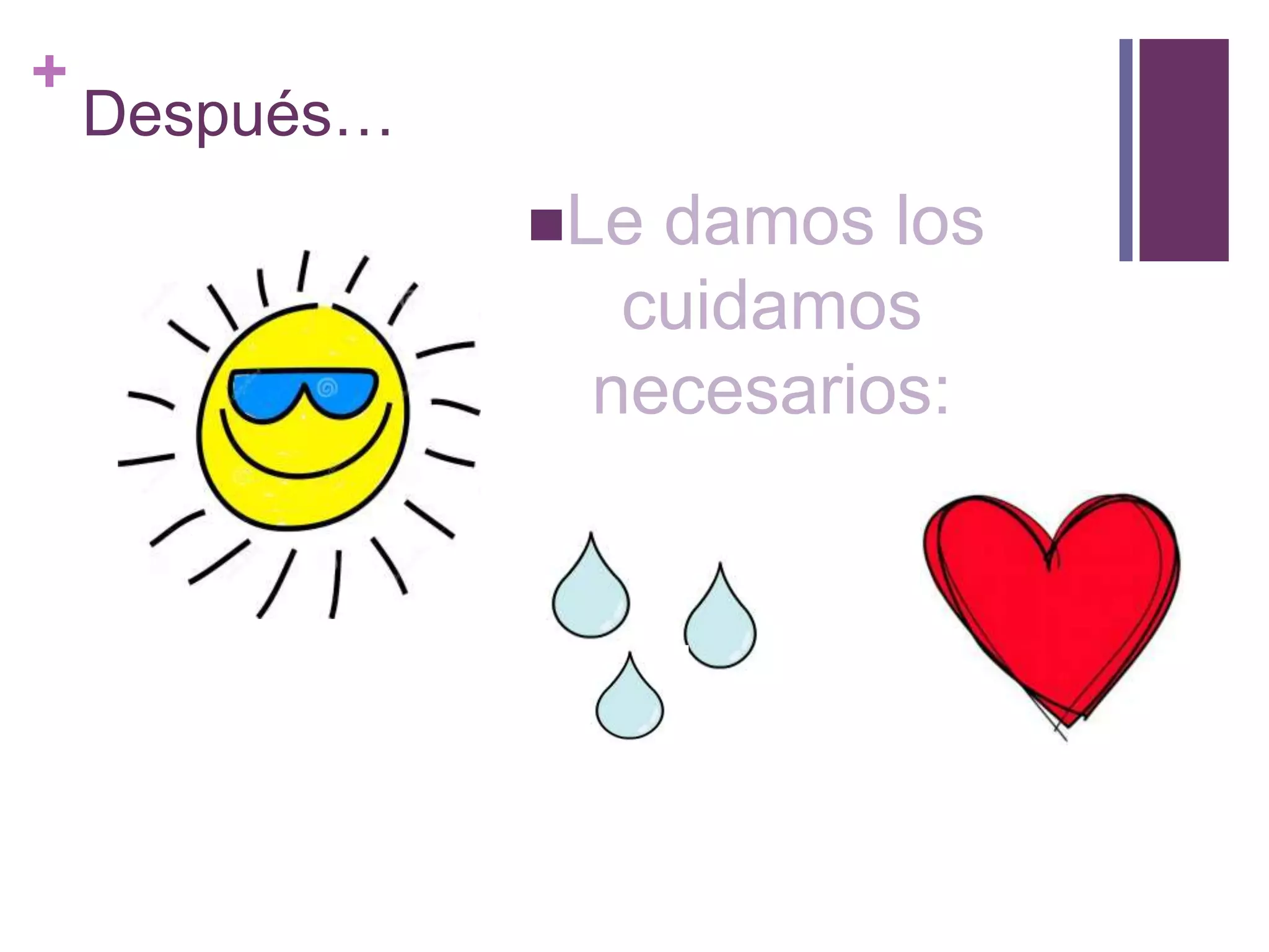 Crecimiento De Las Plantas Ppt