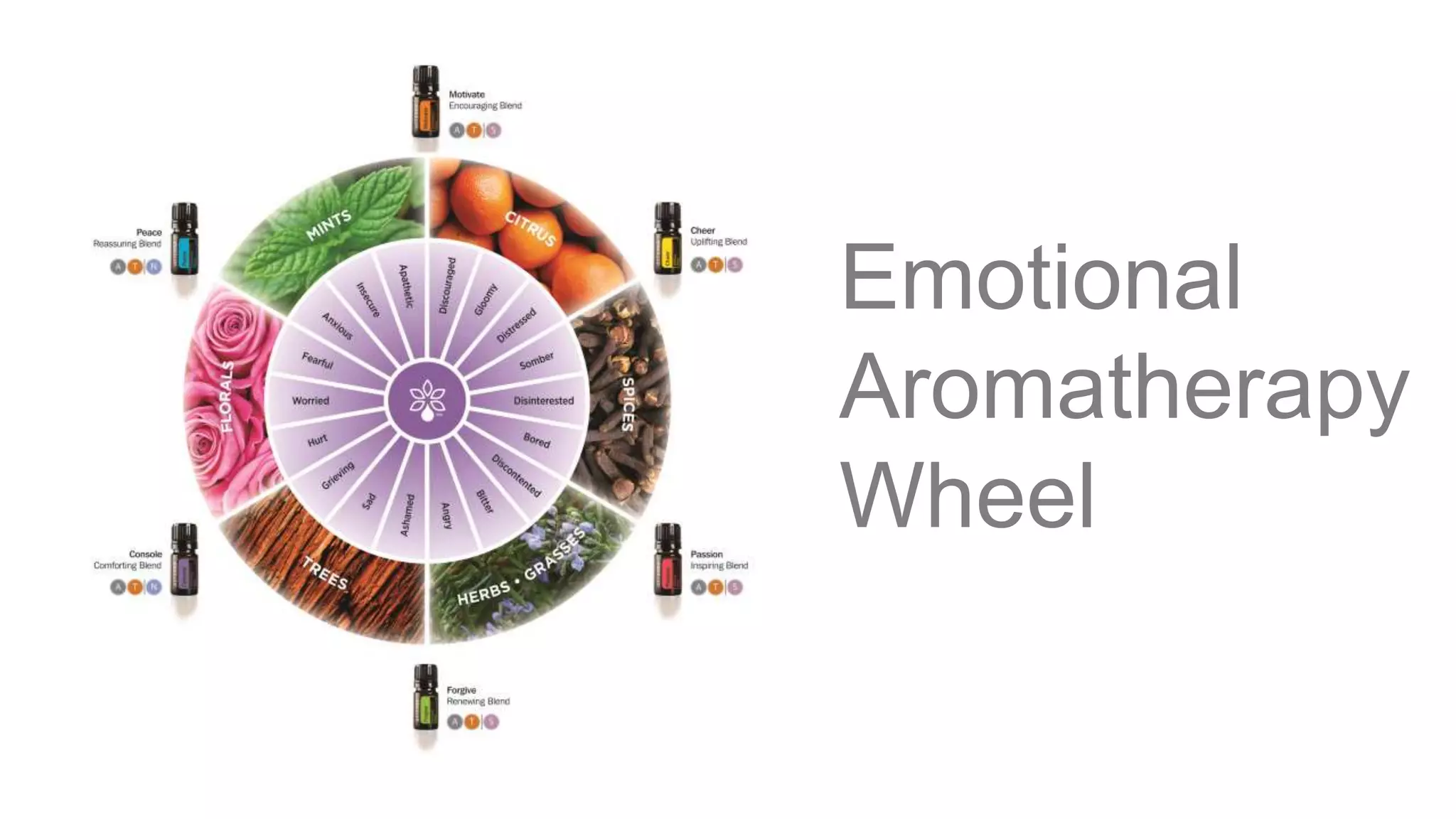 Cp emotional-aromatherapy | PPT