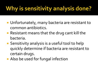 Microbiological Culture sensitivity tests | PPTX