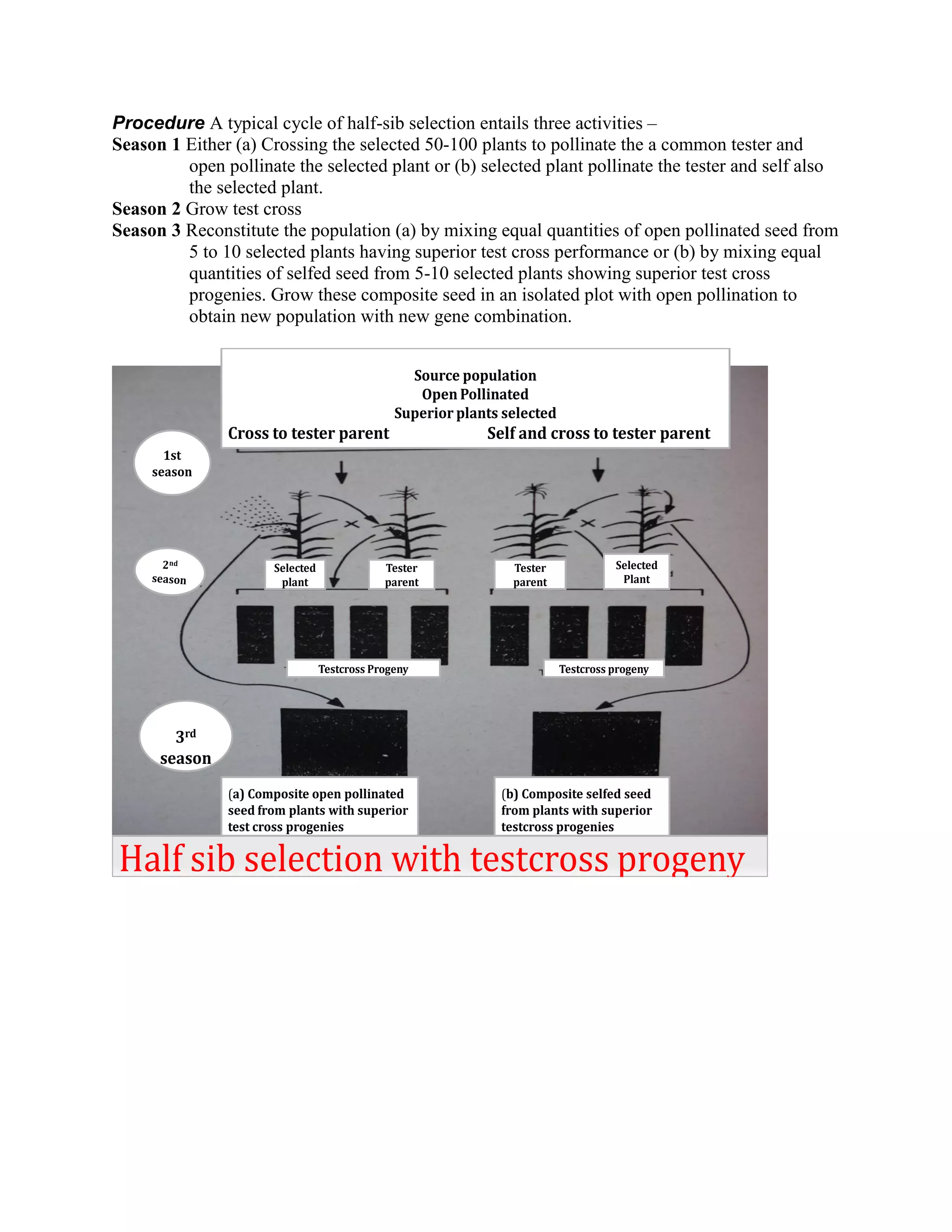 Cp population improvement-phenotypic and genotypic (half sib) method | PDF