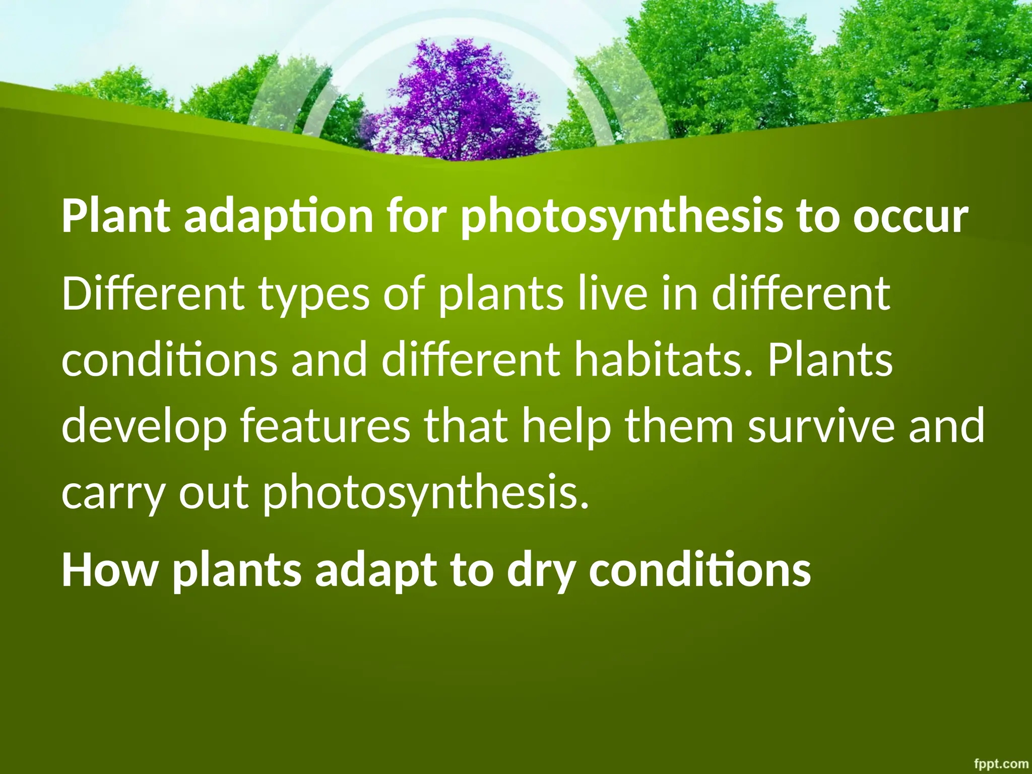 CP 1 PHOTOSYNTHESIS PPT, biology, experiments on photosynthesis | PPTX