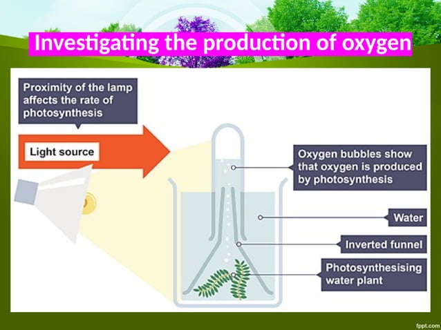 CP 1 PHOTOSYNTHESIS PPT, biology, experiments on photosynthesis | PPT