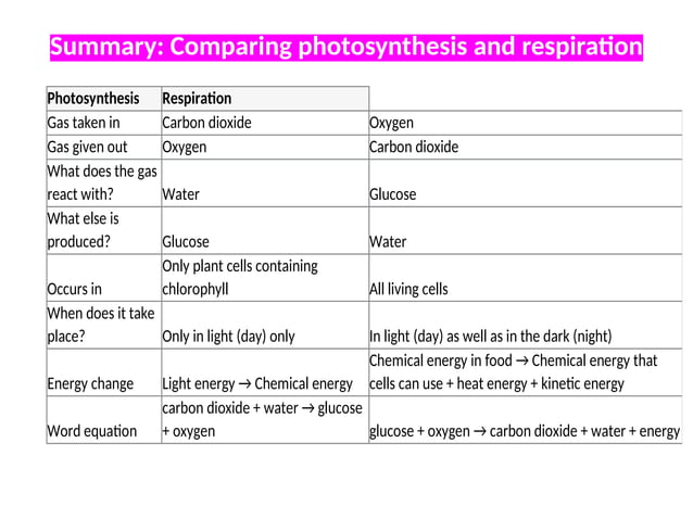 CP 1 PHOTOSYNTHESIS PPT, biology, experiments on photosynthesis | PPT