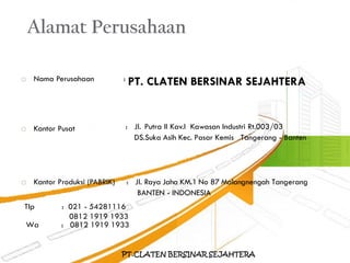 COMPANY PROFILE | PDF
