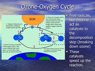 Ozone depletion and UV radiations leading to increased ionizing ...
