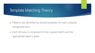 Pattern Recognition: A cognitive process | PPTX