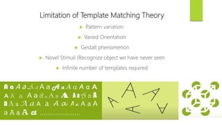 Pattern Recognition: A cognitive process | PPTX