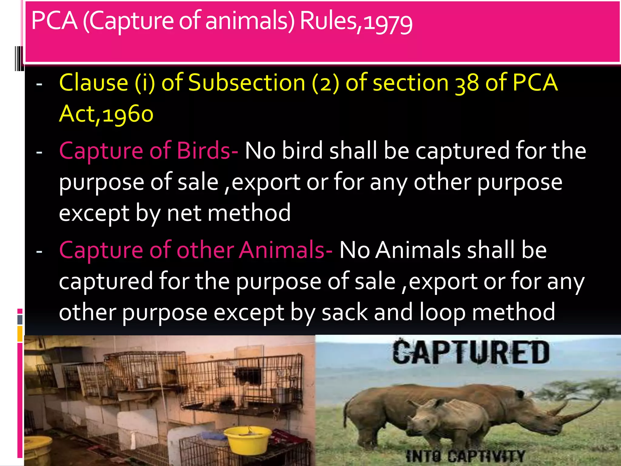CPA ACT 1960 | PPTX