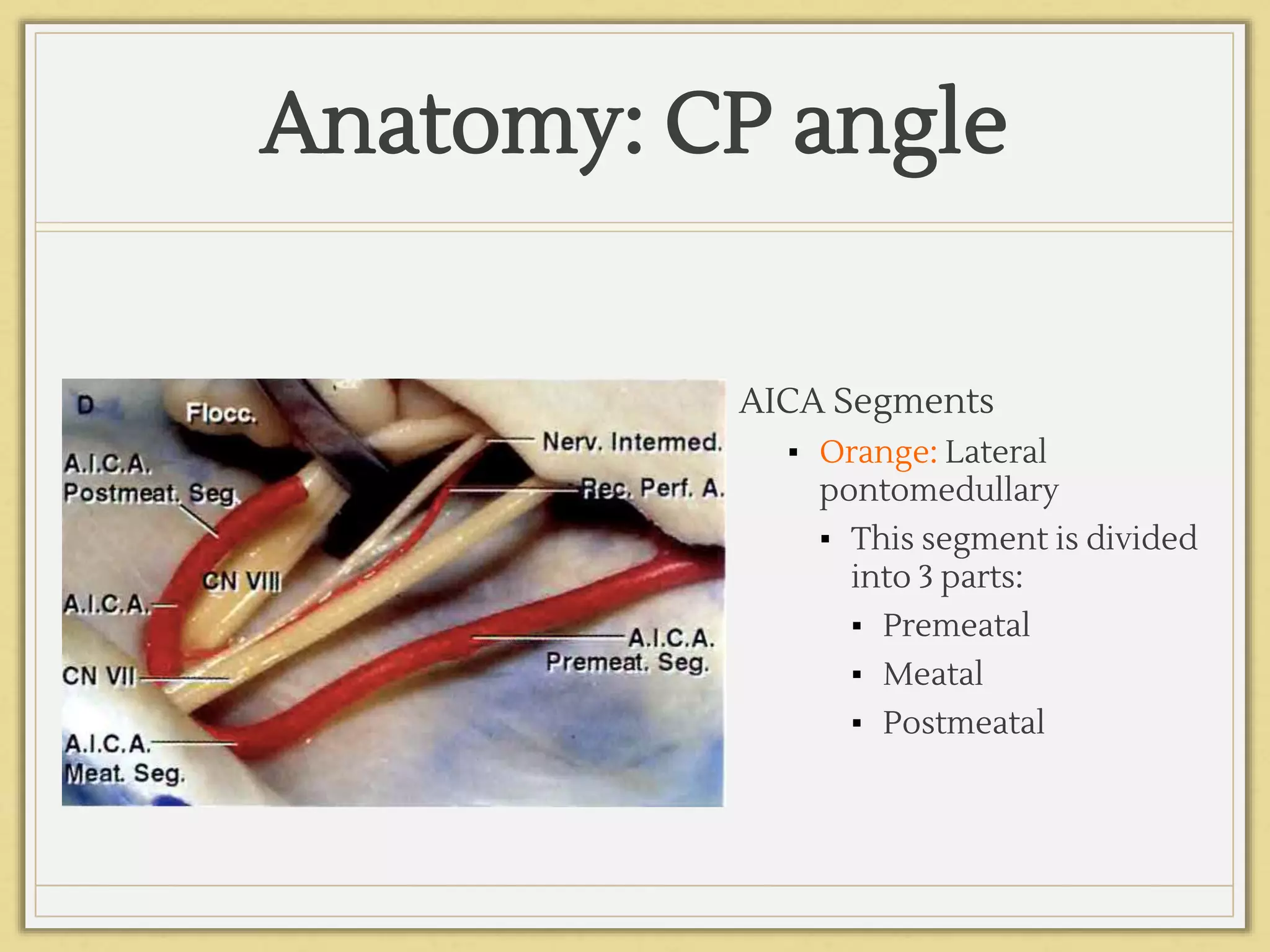 CP angle.pptx