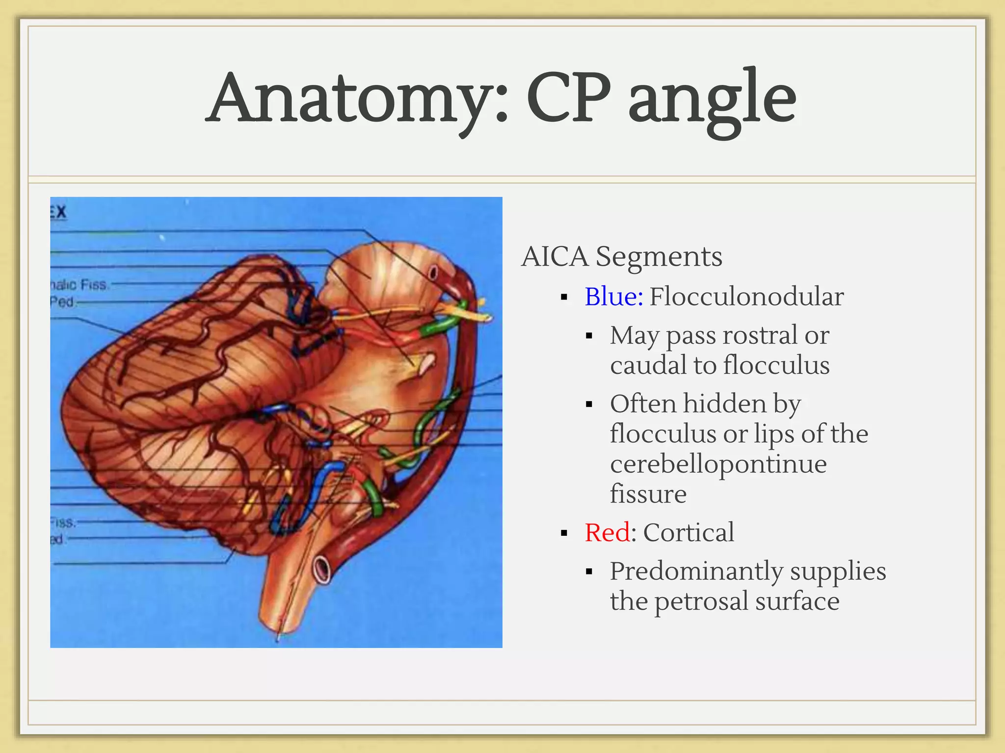 cp-angle-pptx