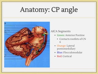 Cerebellopontine Angle Anatomy Ppt