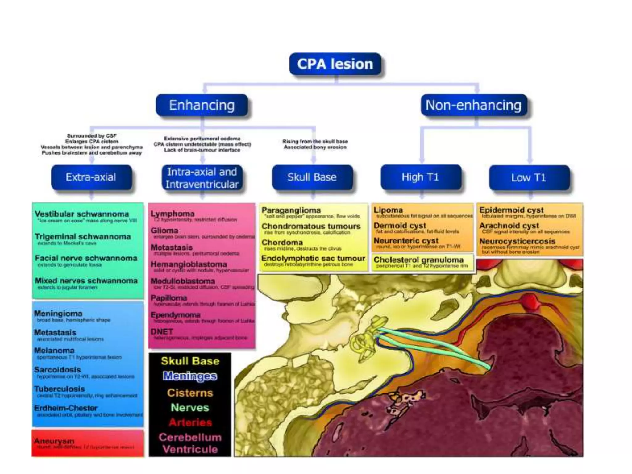 CP ANGLE TUMOR.pptx | Ear, Nose and Throat Conditions | Diseases and Conditions