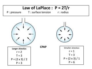 Cpap | PPTX
