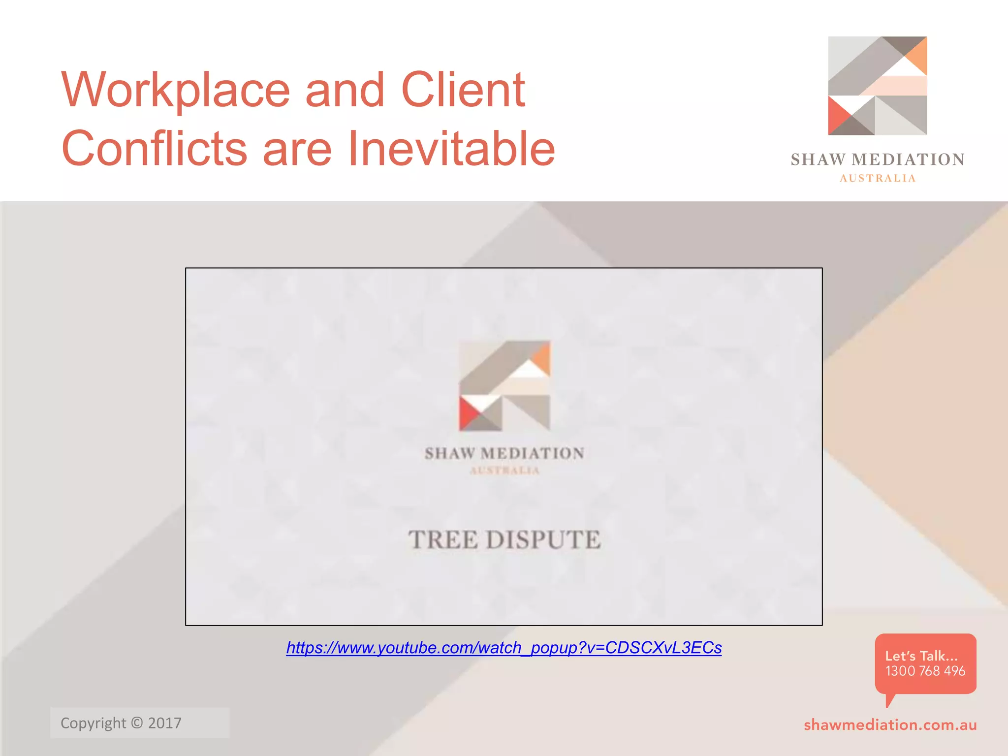 CPA Dispute Resolution Options | PPT