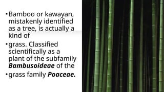 CPAR LESSON 10.pptx...................... | PPTX