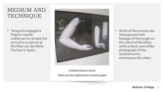Maria Taniguchi's Untitled (Mirrors) and Echo Studies | PDF