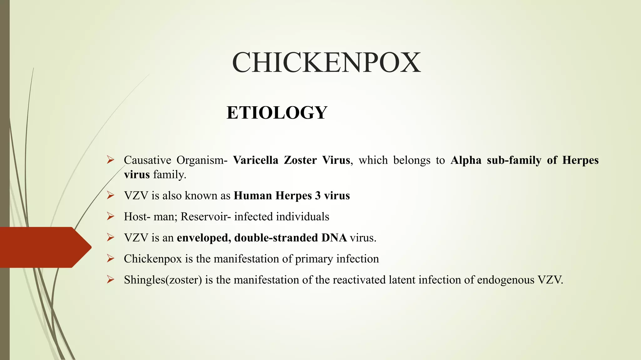 Chickenpox: Pathophysiology | PPTX