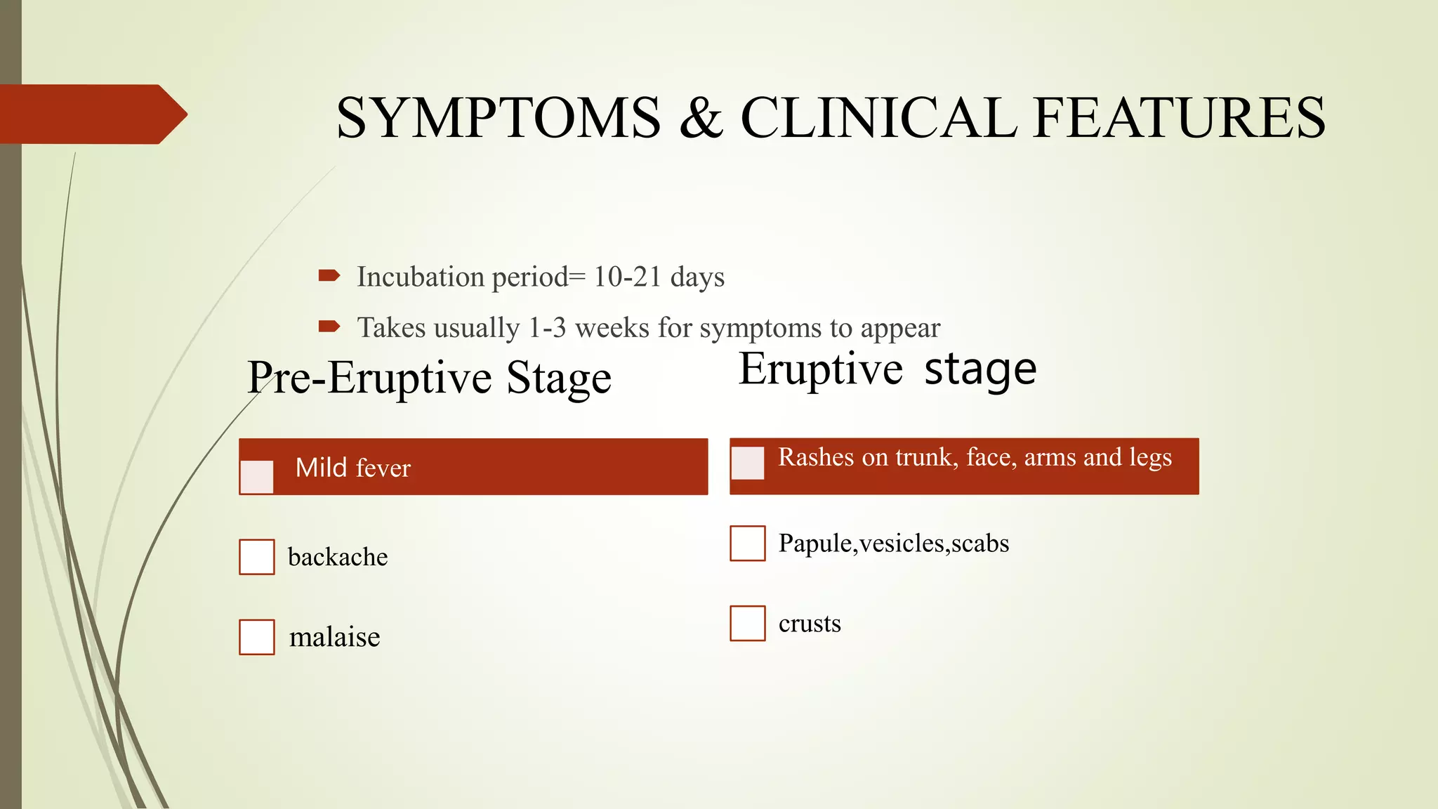 Chickenpox: Pathophysiology | PPTX
