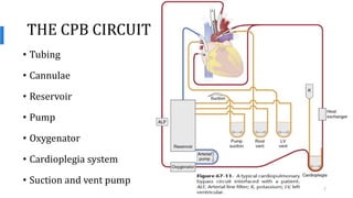 Physiology of Cardiopulmonary Bypass | PPTX
