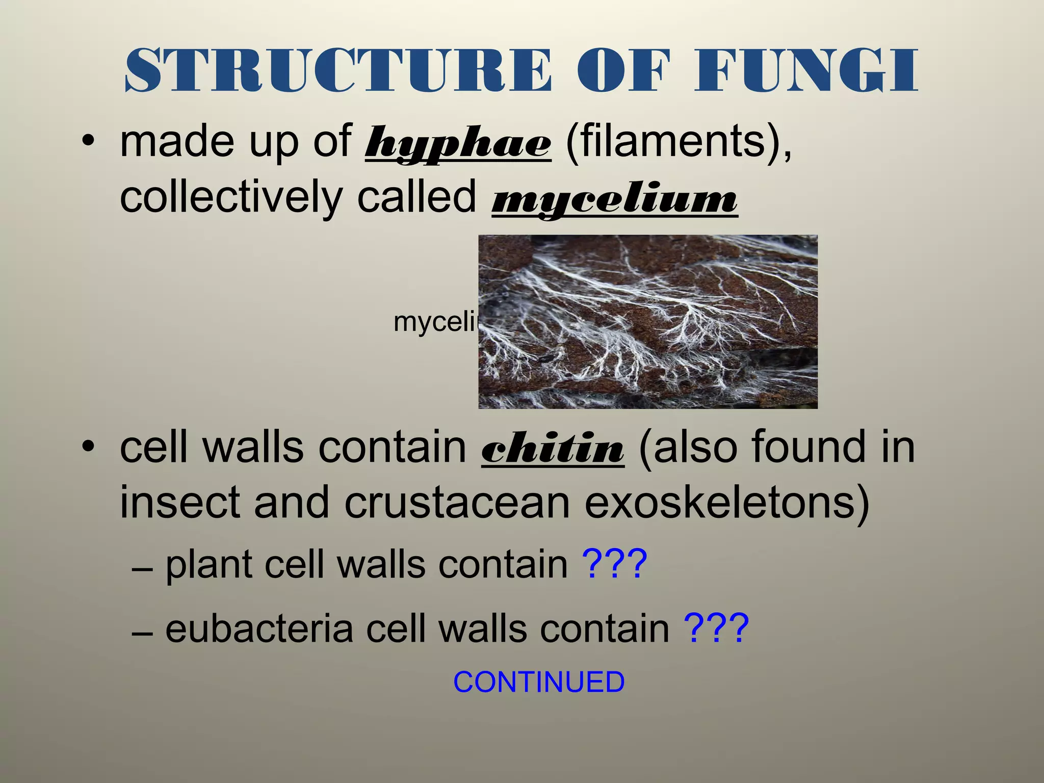 FUNGi POWER POINT | PPT