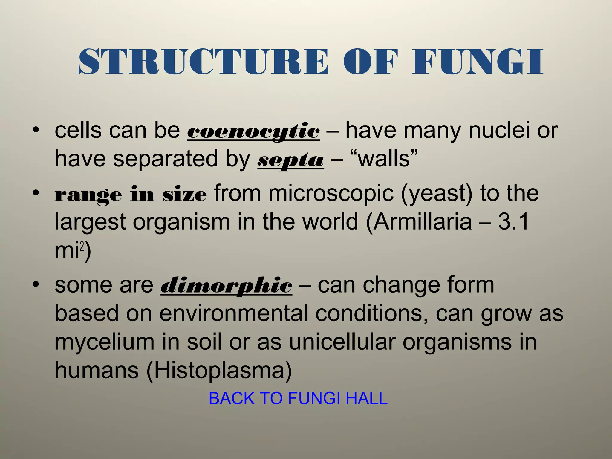 FUNGi POWER POINT | PPT