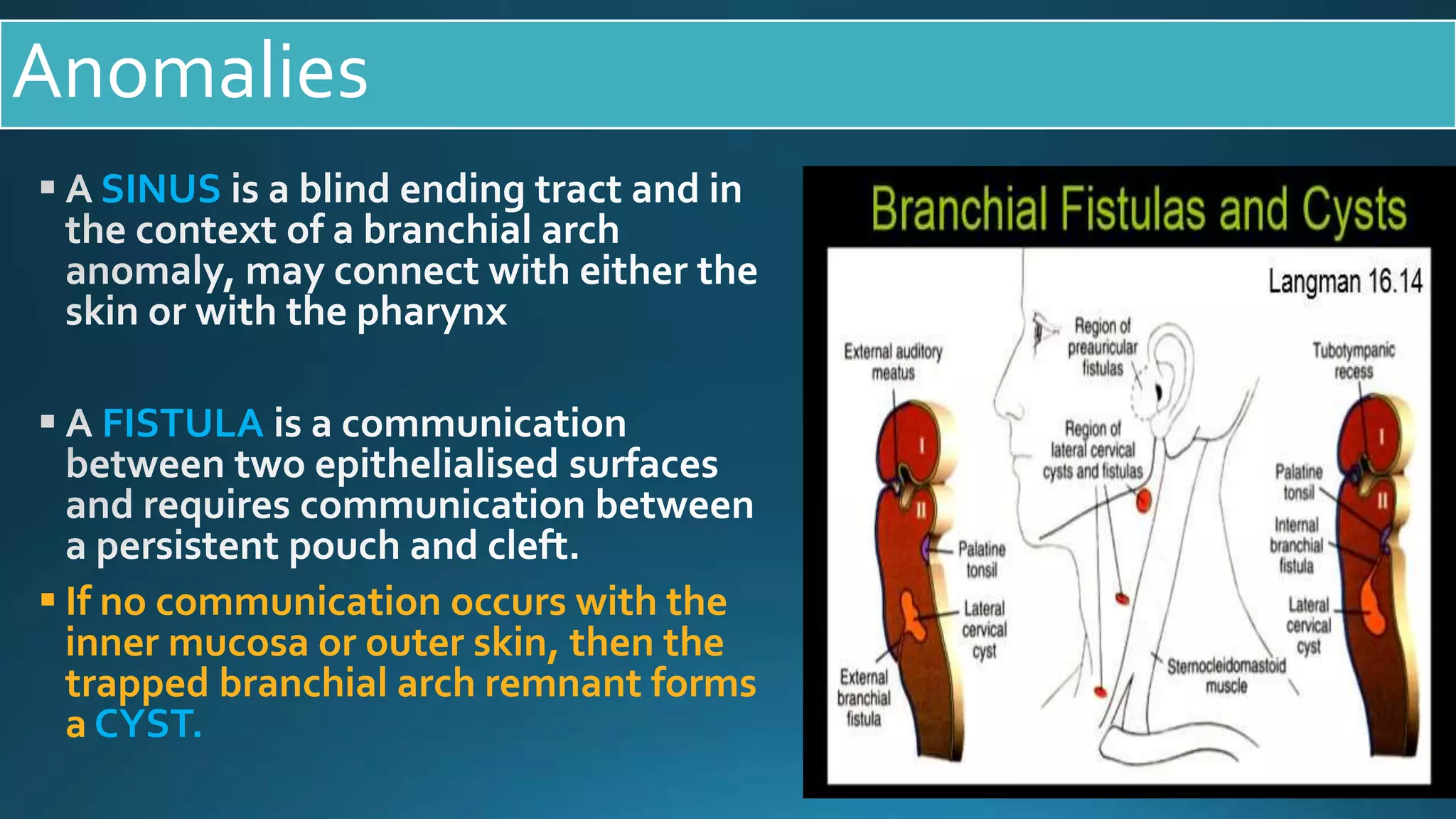 Case Presentation Branchial Cyst | PPTX