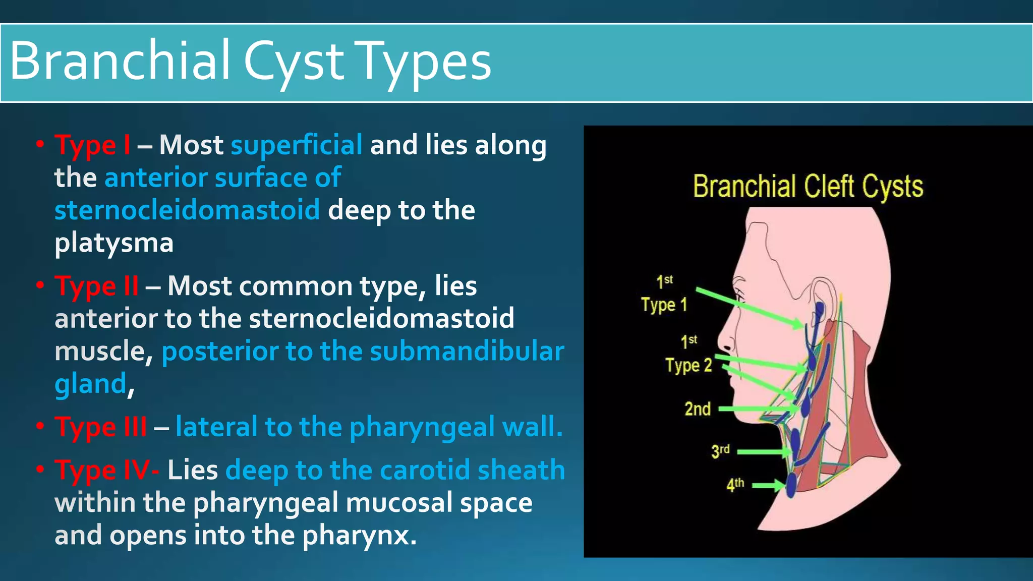 Case Presentation Branchial Cyst | PPTX