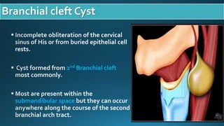 Case Presentation Branchial Cyst | PPTX