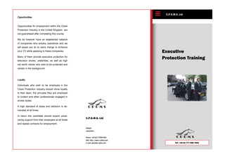 Close Protection Training (2012) | PDF