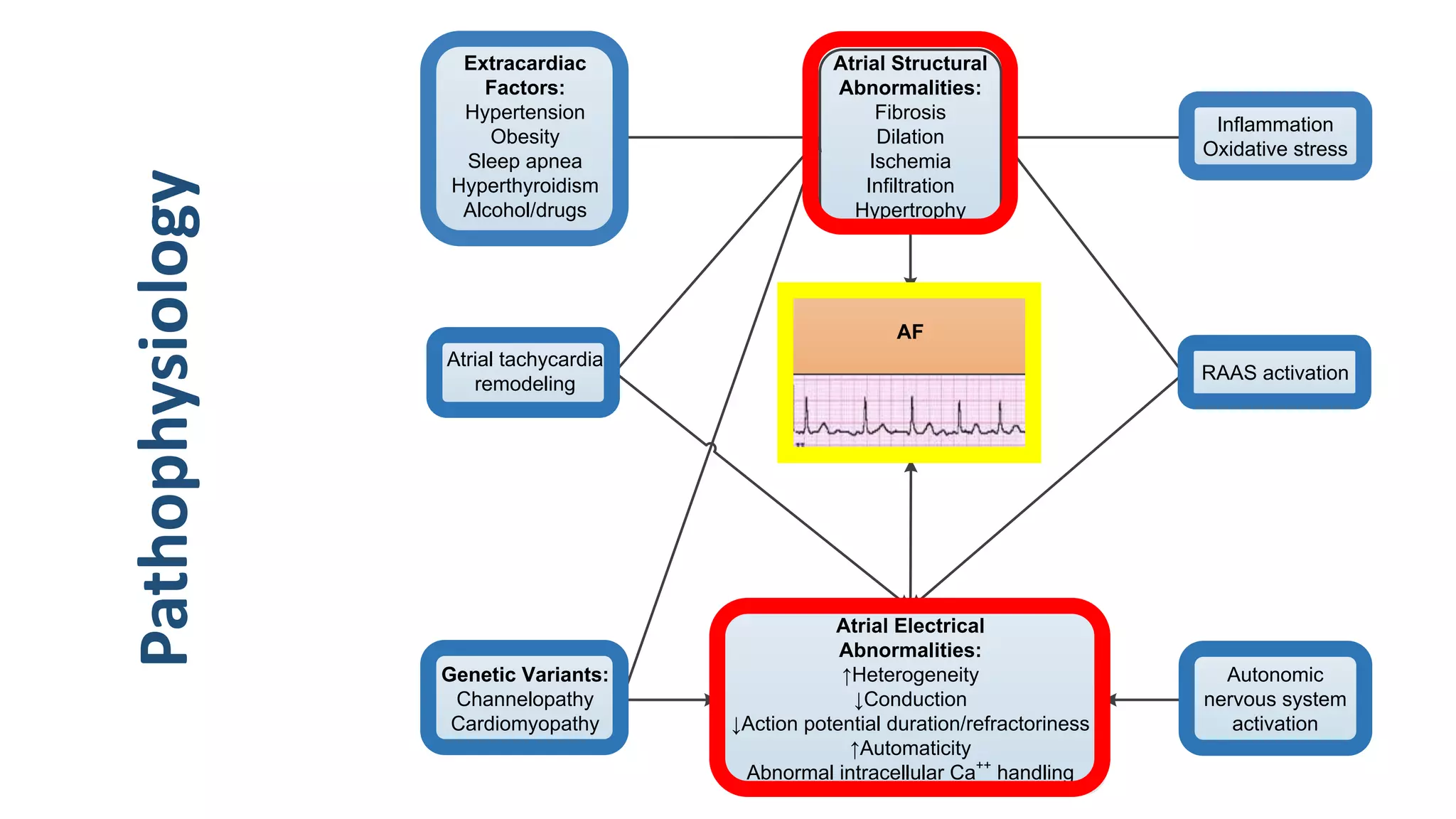 2014 AHA/ACC Atrial Fibrillation Guidelines | PPT