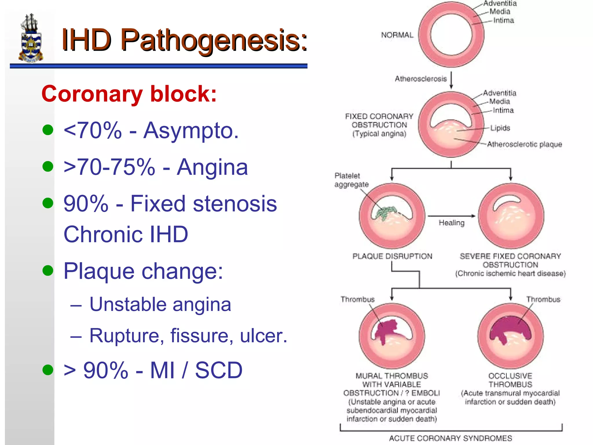 Pathology of Myocardial Infarction | PPT