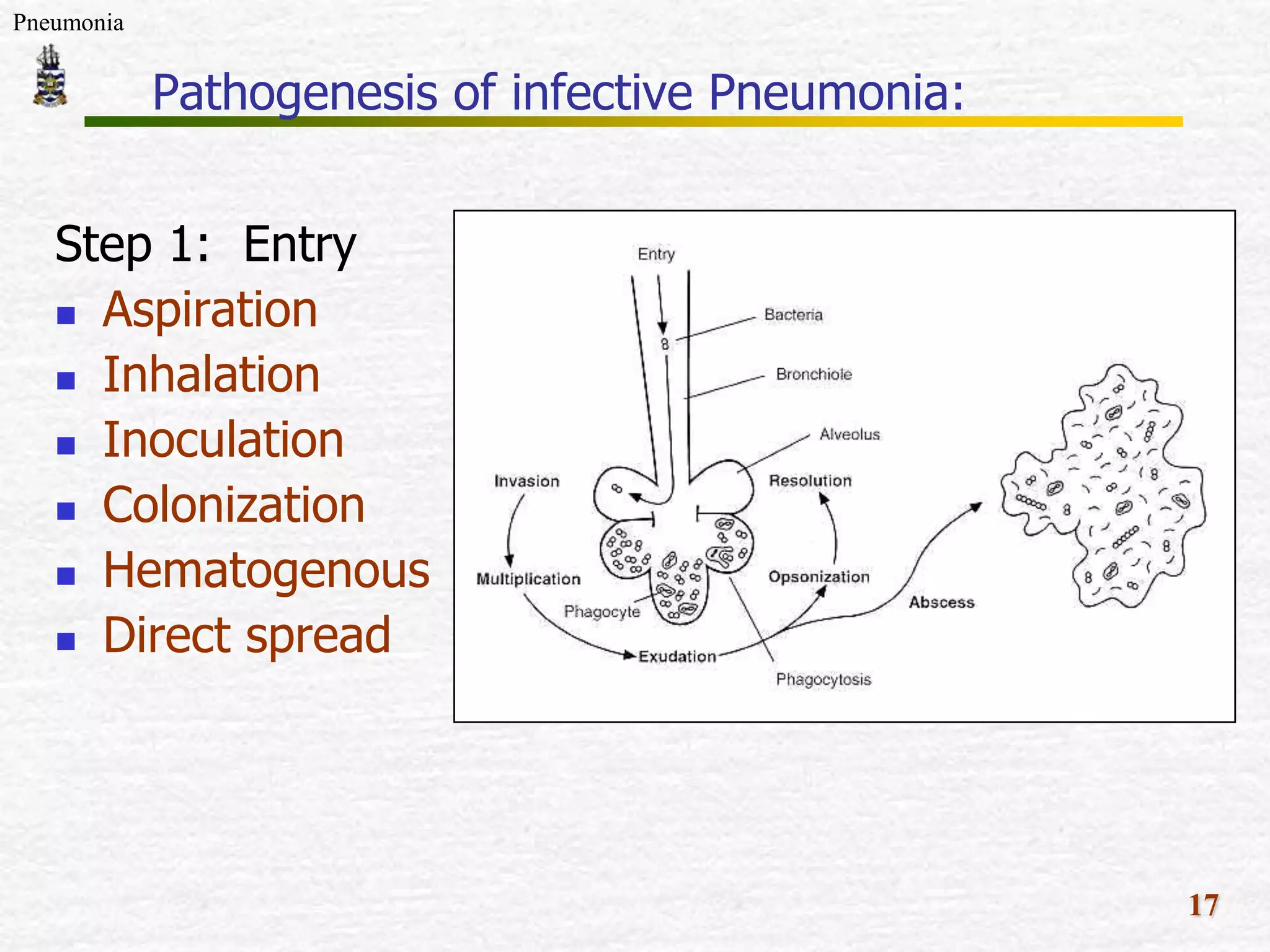 Pathology of Pneumonia | PPTX